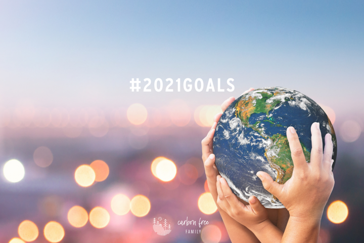 Top 5 Sustainability Swaps – Carbon Free Family