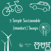 Top 5 Sustainability Swaps – Carbon Free Family